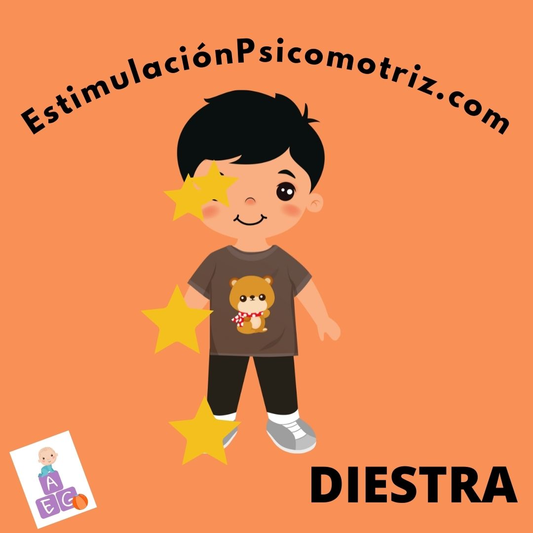 Tipos de Lateralidad – Alberto Espinosa García