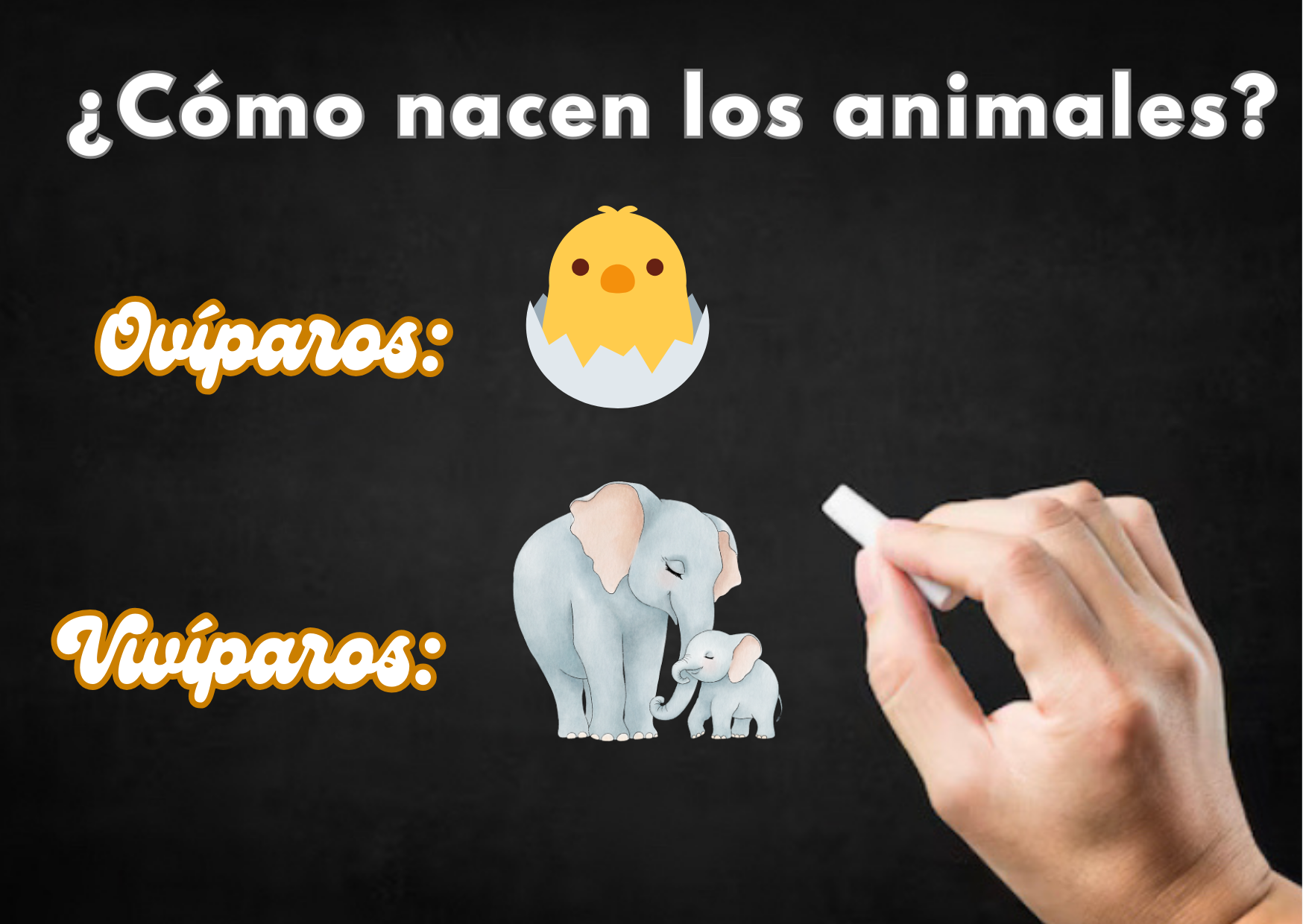 ¡Cómo nacen los animales! – Alberto Espinosa García